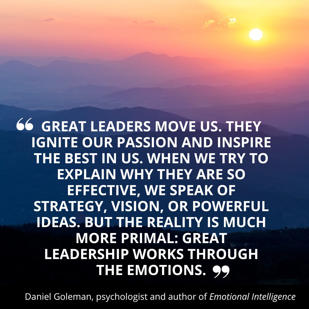 What's Emotional Intelligence Got To Do With Leadership? - Alana M ...